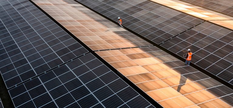 Market Watch - Zenergi